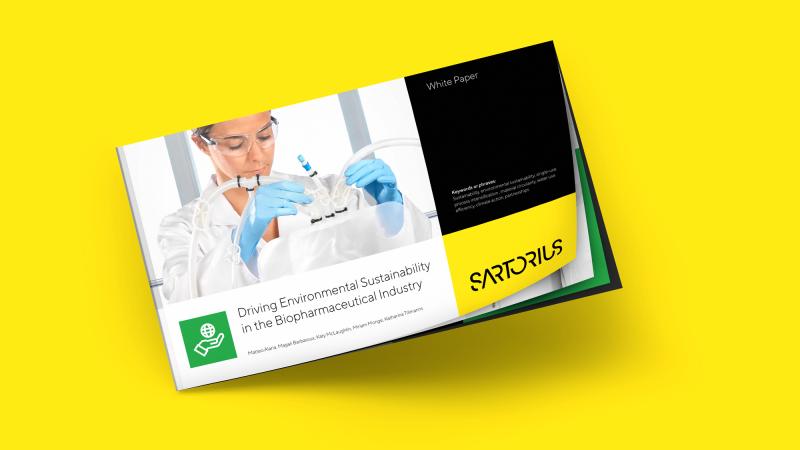 NATHALIE LEIZOROVICI on LinkedIn: White Paper: Driving Environmental ... NATHALIE LEIZOROVICI on LinkedIn: White Paper: Driving Environmental ...