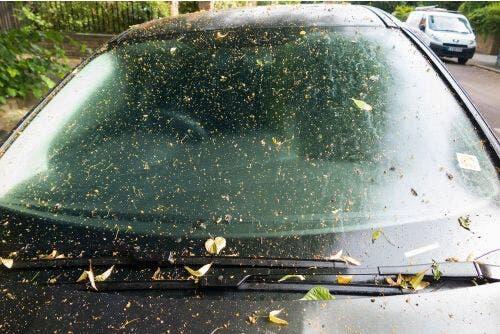 Autoglym on LinkedIn: Motorists are urged to shun quick-fix hacks for ... Autoglym on LinkedIn: Motorists are urged to shun quick-fix hacks for ...