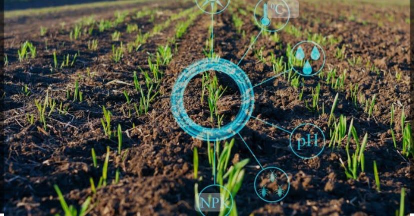 Nasir jaafar on LinkedIn: AI-driven Crop Disease Detection: Early ... Nasir jaafar on LinkedIn: AI-driven Crop Disease Detection: Early ...