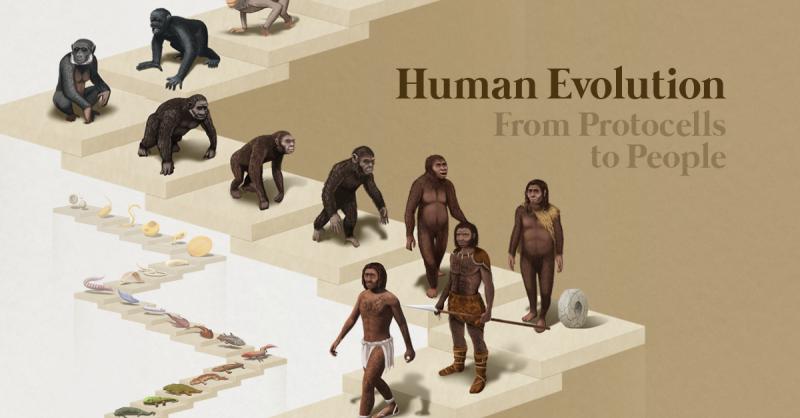 Dr. Cenk Tezcan LinkedIn‘de: Visualized: The 4 Billion Year Path of ... Dr. Cenk Tezcan LinkedIn‘de: Visualized: The 4 Billion Year Path of ...