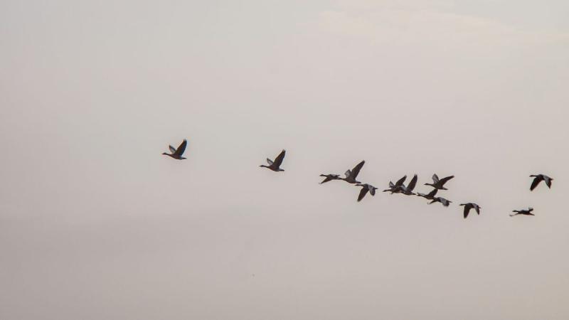 Interactive EF Core Migrations: Use Dependency Injection and Dapper for ... Interactive EF Core Migrations: Use Dependency Injection and Dapper for ...