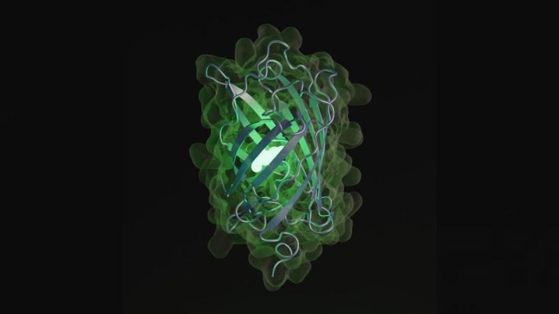 Germain Cassis on LinkedIn: New glowing molecule, invented by AI, would ... Germain Cassis on LinkedIn: New glowing molecule, invented by AI, would ...