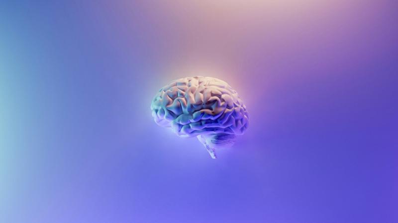 Genevieve Lai on LinkedIn: Understanding Neuro-Linguistic Programming ... Genevieve Lai on LinkedIn: Understanding Neuro-Linguistic Programming ...