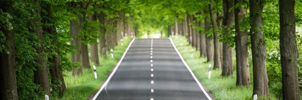 Amir Tabakovic on LinkedIn: ECO-Bind Amir Tabakovic on LinkedIn: ECO-Bind