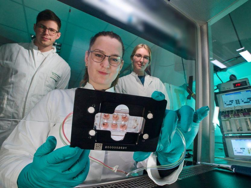 bionity.com on LinkedIn: New Opportunity for Cancer Therapy: Miniature ... bionity.com on LinkedIn: New Opportunity for Cancer Therapy: Miniature ...