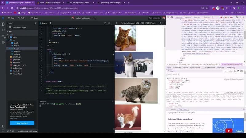 Sean Borland on LinkedIn: React Cat App Walkthrough Part 1: Pulling Cat ... Sean Borland on LinkedIn: React Cat App Walkthrough Part 1: Pulling Cat ...