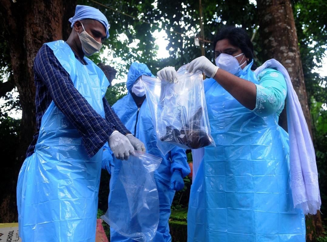 Kerala reports Nipah virus outbreak | Priyanshu Parihar posted on the ... Kerala reports Nipah virus outbreak | Priyanshu Parihar posted on the ...