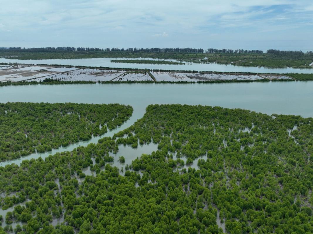 Aceh Wetland Foundation on LinkedIn: Tolak Izin Konsesi PT. Barisan ... Aceh Wetland Foundation on LinkedIn: Tolak Izin Konsesi PT. Barisan ...