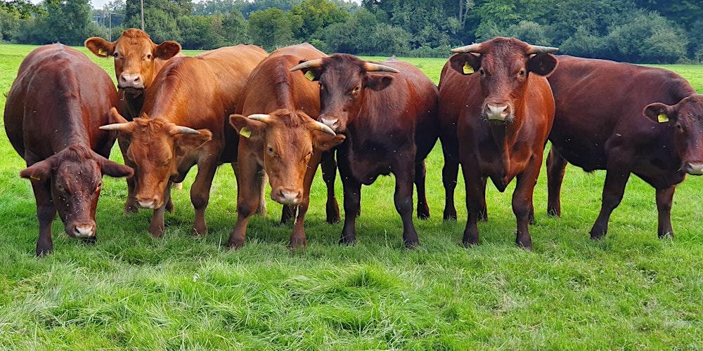 Sarah Aitchison (She/her) on LinkedIn: Veterinary Health Innovation ... Sarah Aitchison (She/her) on LinkedIn: Veterinary Health Innovation ...