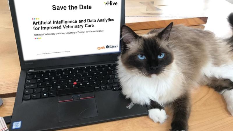 Artificial Intelligence and Data Analytics for Improved Veterinary Care ... Artificial Intelligence and Data Analytics for Improved Veterinary Care ...