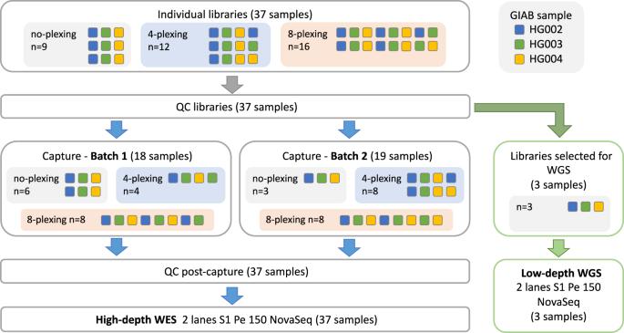 Javier Quílez Oliete on LinkedIn: A cost-effective sequencing method ... Javier Quílez Oliete on LinkedIn: A cost-effective sequencing method ...