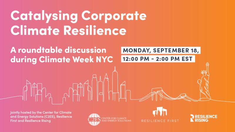 Resilience Rising on LinkedIn: Catalysing Corporate Resilience with ... Resilience Rising on LinkedIn: Catalysing Corporate Resilience with ...