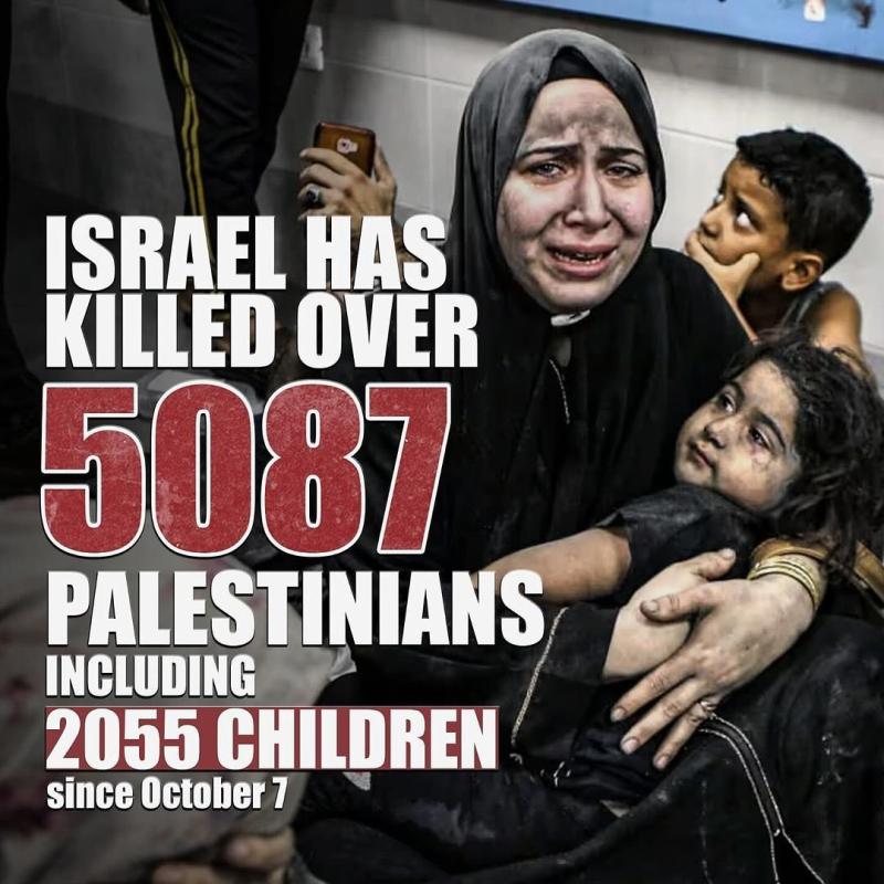 SAFWA NIHAD Al MUSA on LinkedIn: Eye On Palestine on Instagram: SAFWA NIHAD Al MUSA on LinkedIn: Eye On Palestine on Instagram: