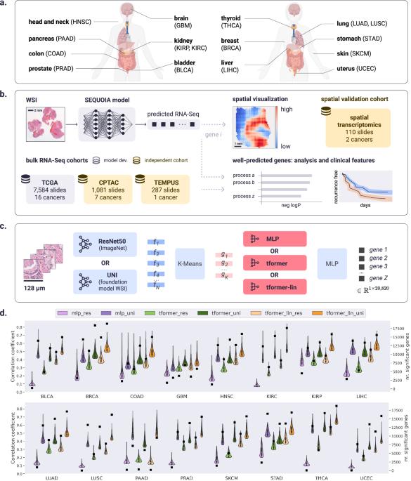 Dr E. Shyam P. Reddy on LinkedIn: Digital profiling of gene expression ... Dr E. Shyam P. Reddy on LinkedIn: Digital profiling of gene expression ...