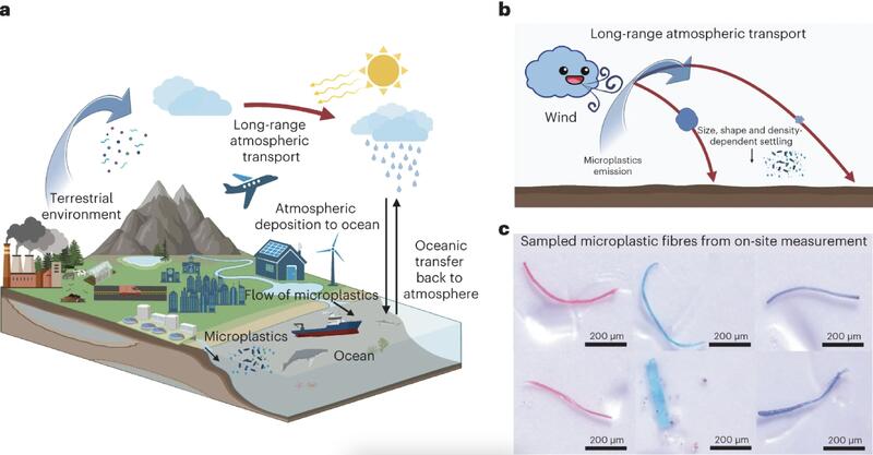 Alex Philp, Ph.D. on LinkedIn: Atmospheric microplastic transport ... Alex Philp, Ph.D. on LinkedIn: Atmospheric microplastic transport ...
