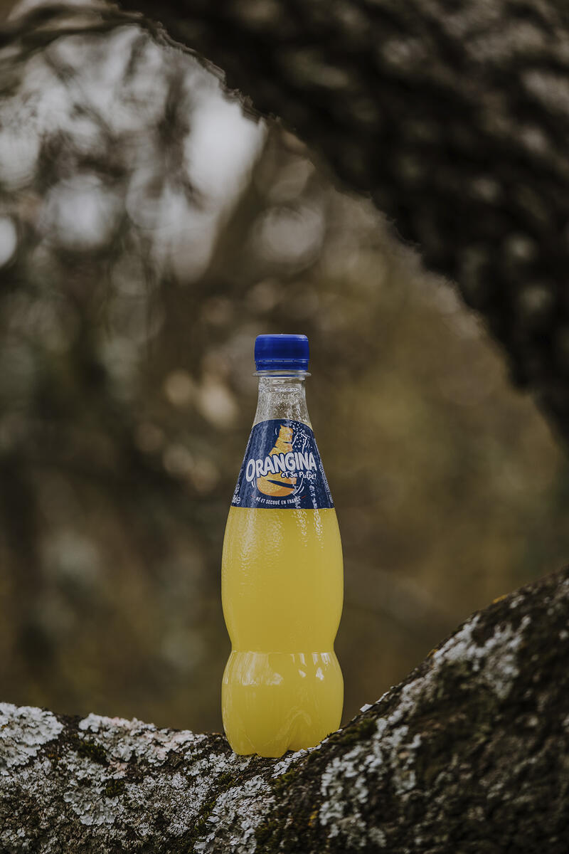 Suntory Introduces 100% Plant-Based PET Bottle Prototypes | David Schwalje Suntory Introduces 100% Plant-Based PET Bottle Prototypes | David Schwalje