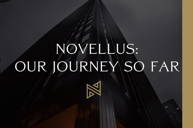 William McManus on LinkedIn: CEO's Blog - Novellus Finance William McManus on LinkedIn: CEO's Blog - Novellus Finance