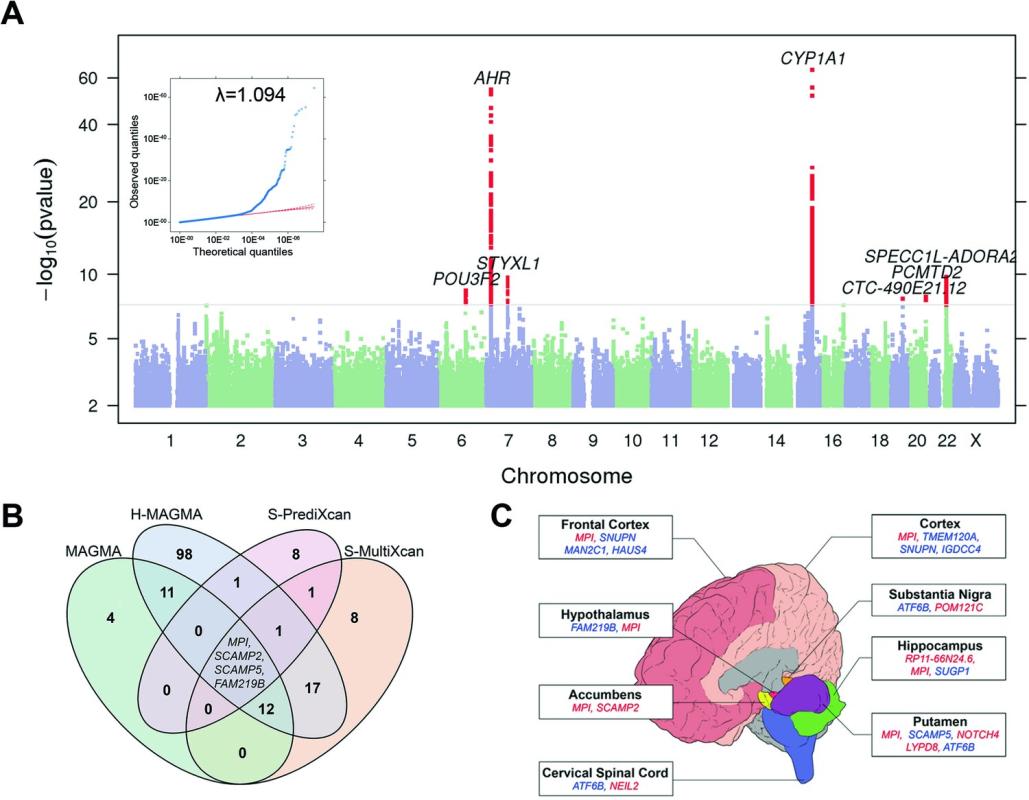 Christine Lainberger on LinkedIn: Study finds link between genetics and ... Christine Lainberger on LinkedIn: Study finds link between genetics and ...