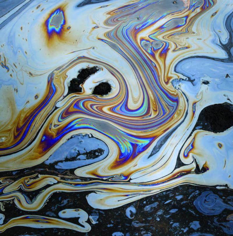 The Ideological Subversion of Biology | Denyse O'Leary The Ideological Subversion of Biology | Denyse O'Leary