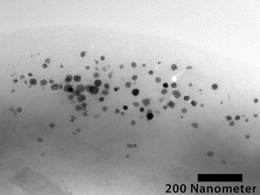 bionity.com on LinkedIn: New study on the genetic magnetization of ... bionity.com on LinkedIn: New study on the genetic magnetization of ...