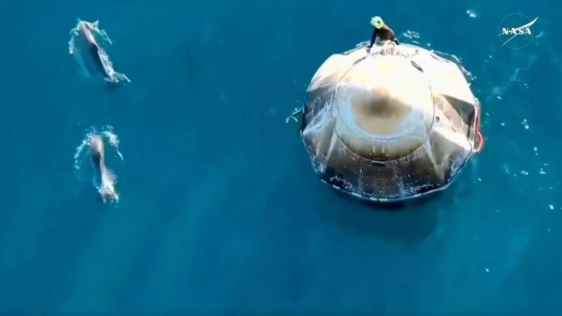 Dolphins welcome SpaceX Crew-9 Dragon spacecraft off coast of Florida ... Dolphins welcome SpaceX Crew-9 Dragon spacecraft off coast of Florida ...