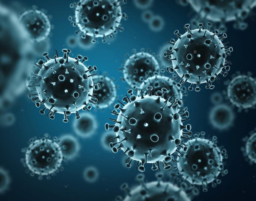 ALA proposes avian flu name change | Dr. Md. Mehadi Hasan ALA proposes avian flu name change | Dr. Md. Mehadi Hasan