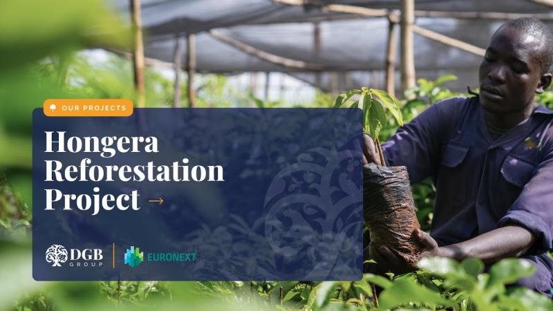 DGB Group on LinkedIn: The Hongera Reforestation Project (Kenya) - Teaser DGB Group on LinkedIn: The Hongera Reforestation Project (Kenya) - Teaser