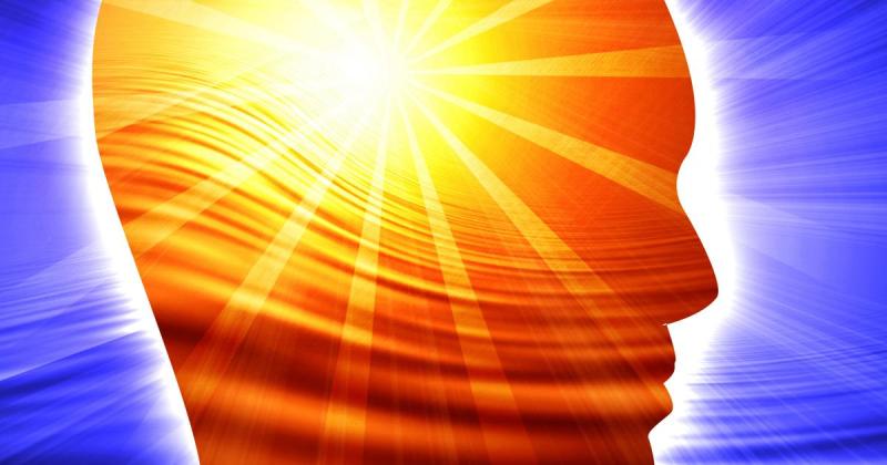 David Laxer on LinkedIn: Consciousness David Laxer on LinkedIn: Consciousness