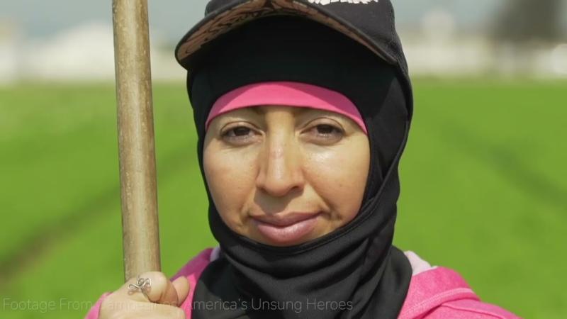 Silicon Valley Latino on LinkedIn: CAMPESINOS: America's Unsung Heroes ... Silicon Valley Latino on LinkedIn: CAMPESINOS: America's Unsung Heroes ...