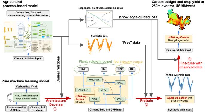 Knowledge-guided machine learning can improve carbon cycle ... Knowledge-guided machine learning can improve carbon cycle ...