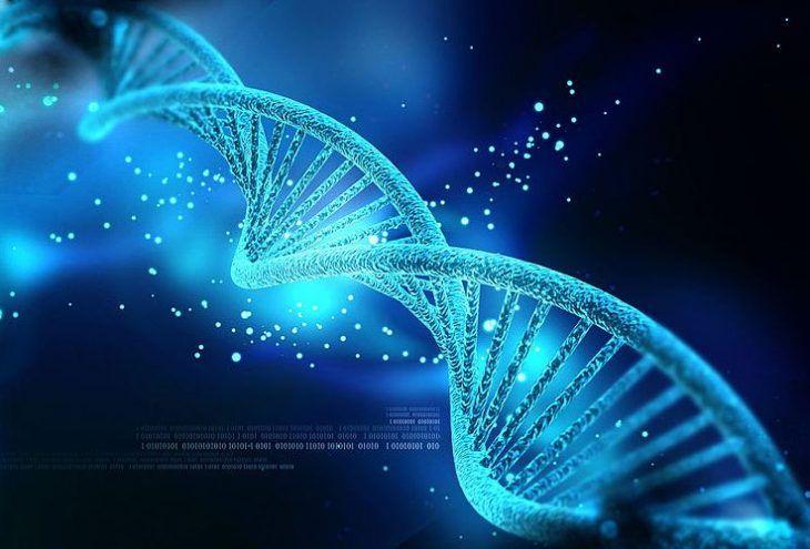 Testes genéticos: como eles podem contribuir no tratamento do câncer ... Testes genéticos: como eles podem contribuir no tratamento do câncer ...