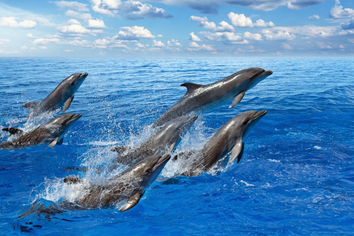 Shiv Iyer on LinkedIn: Optimizing Inner Joins for High-Performance ... Shiv Iyer on LinkedIn: Optimizing Inner Joins for High-Performance ...