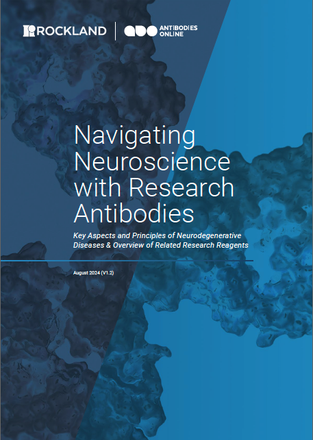 Rockland Immunochemicals, Inc. on LinkedIn: Navigating Neuroscience ... Rockland Immunochemicals, Inc. on LinkedIn: Navigating Neuroscience ...