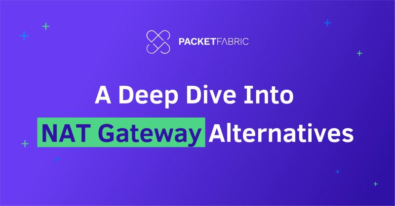 A Deep Dive into NAT Gateway Alternatives - PacketFabric | Ahilan ... A Deep Dive into NAT Gateway Alternatives - PacketFabric | Ahilan ...