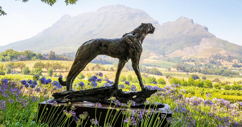 Andrew du Plessis on LinkedIn: Welcome to Delaire Graff Estate Andrew du Plessis on LinkedIn: Welcome to Delaire Graff Estate