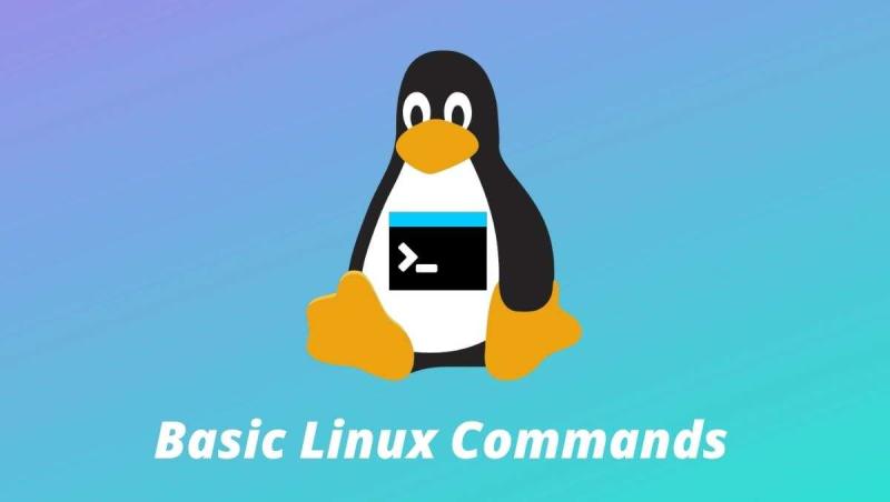 Rajiv Muddukuppam on LinkedIn: Top 50 Most Commonly Used Linux Commands Rajiv Muddukuppam on LinkedIn: Top 50 Most Commonly Used Linux Commands
