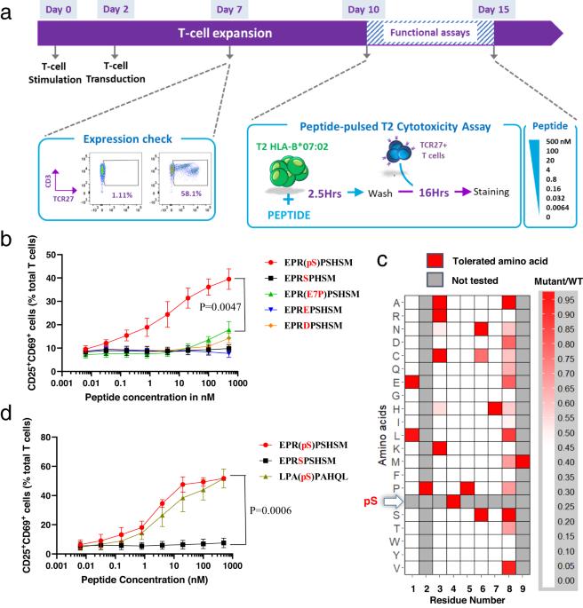 Daniel Pollacksmith, MS on LinkedIn: Molecular mechanism of ... Daniel Pollacksmith, MS on LinkedIn: Molecular mechanism of ...