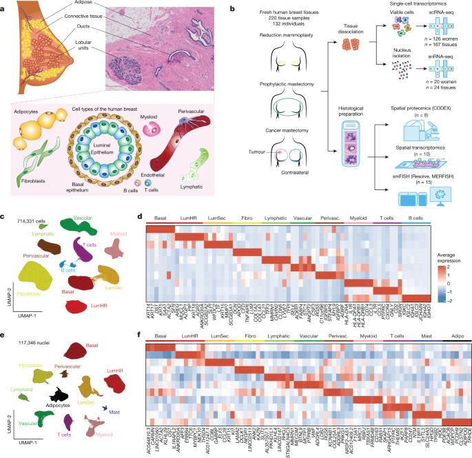 Resolve Biosciences on LinkedIn: A spatially resolved single-cell ... Resolve Biosciences on LinkedIn: A spatially resolved single-cell ...