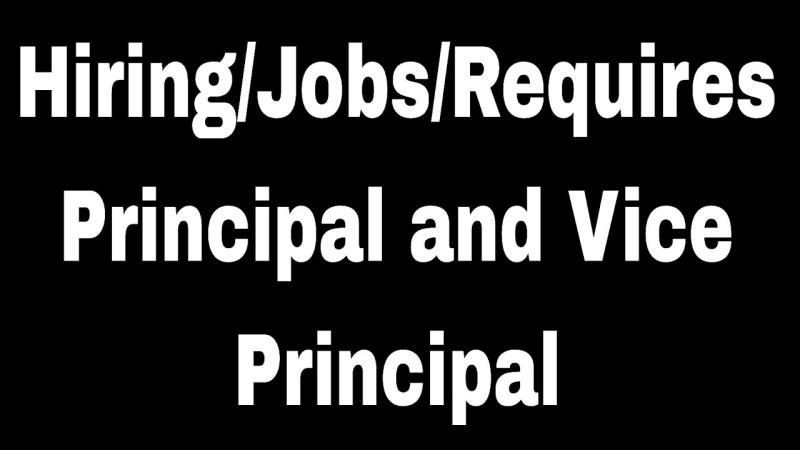 SHARIQ (Hiring/Job and Maths) on LinkedIn: Hiring/Jobs/Requires ... SHARIQ (Hiring/Job and Maths) on LinkedIn: Hiring/Jobs/Requires ...