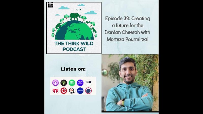 Anish Banerjee on LinkedIn: Episode 39: Saving the Iranian Cheetah with ... Anish Banerjee on LinkedIn: Episode 39: Saving the Iranian Cheetah with ...