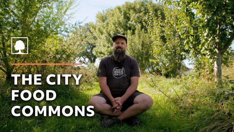 Ieda Moriya on LinkedIn: Public Park Transformed into an Urban Food Forest! Ieda Moriya on LinkedIn: Public Park Transformed into an Urban Food Forest!