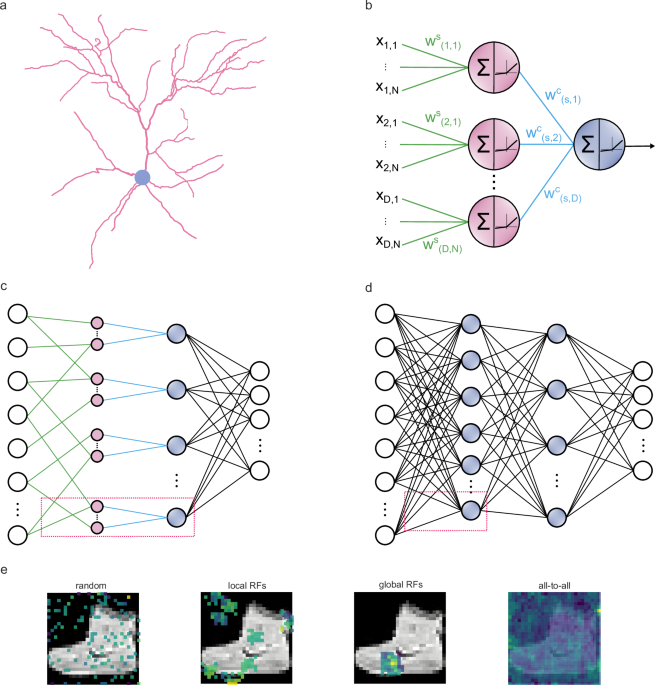Dendrites endow artificial neural networks with accurate, robust and ... Dendrites endow artificial neural networks with accurate, robust and ...