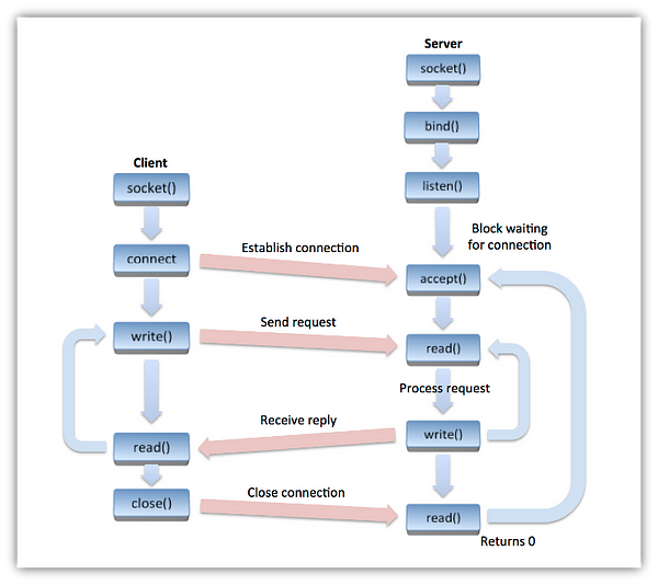 Palak Thapar on LinkedIn: Boiler plate code for socket programming in C++ Palak Thapar on LinkedIn: Boiler plate code for socket programming in C++