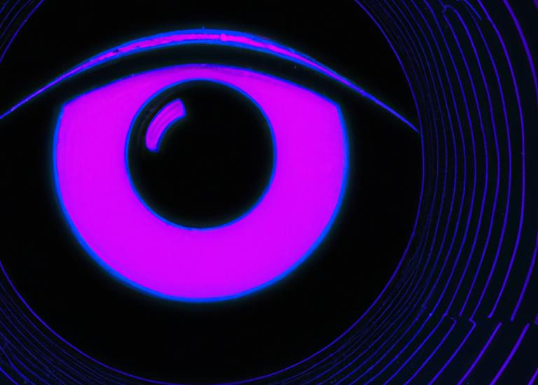 Navigating generative AI in UX Research: a deep dive into data privacy ... Navigating generative AI in UX Research: a deep dive into data privacy ...