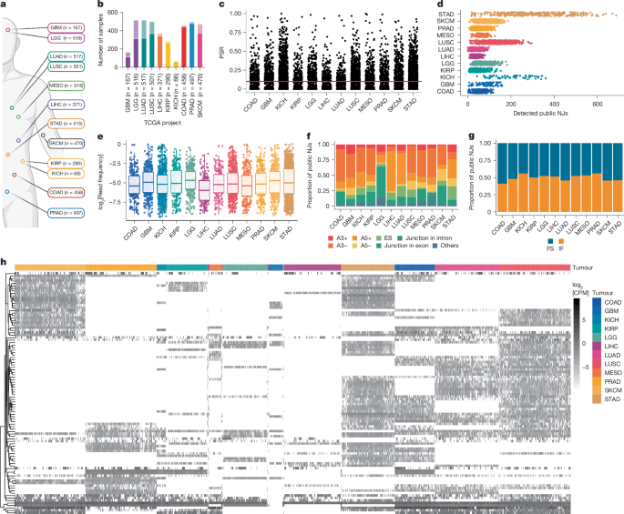Tumour-wide RNA splicing aberrations generate actionable public⦠| Dr E ... Tumour-wide RNA splicing aberrations generate actionable public⦠| Dr E ...