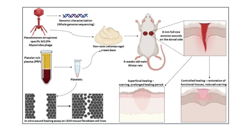 Kaushik Rajaram on LinkedIn: Formulation of Dual-Functional Nonionic ... Kaushik Rajaram on LinkedIn: Formulation of Dual-Functional Nonionic ...