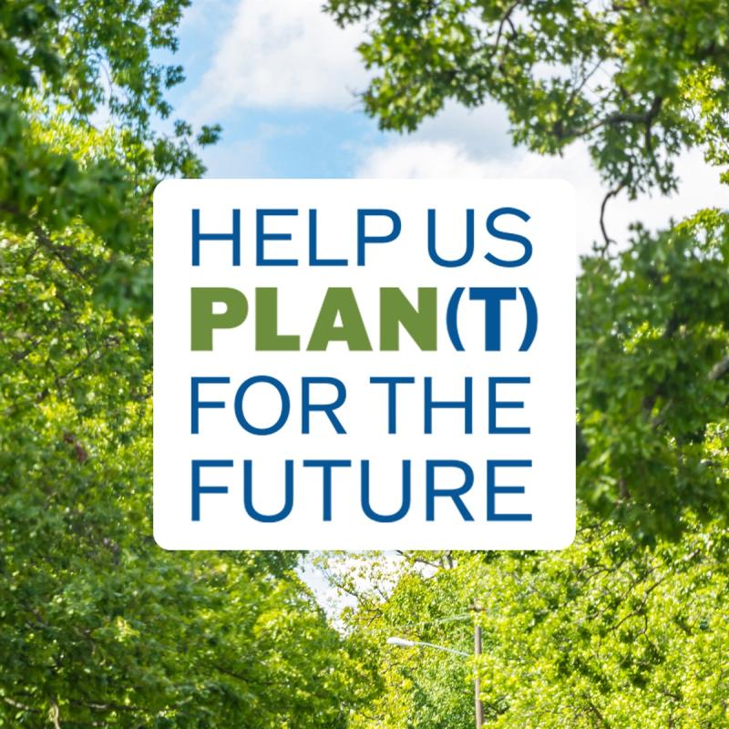 Erica N. Rogers on LinkedIn: Urban Forest Strategic Plan Erica N. Rogers on LinkedIn: Urban Forest Strategic Plan