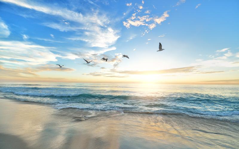 ONUGHA DANIEL on LinkedIn: Comparing Cloud Hosting vs. Self Hosting - DZone ONUGHA DANIEL on LinkedIn: Comparing Cloud Hosting vs. Self Hosting - DZone
