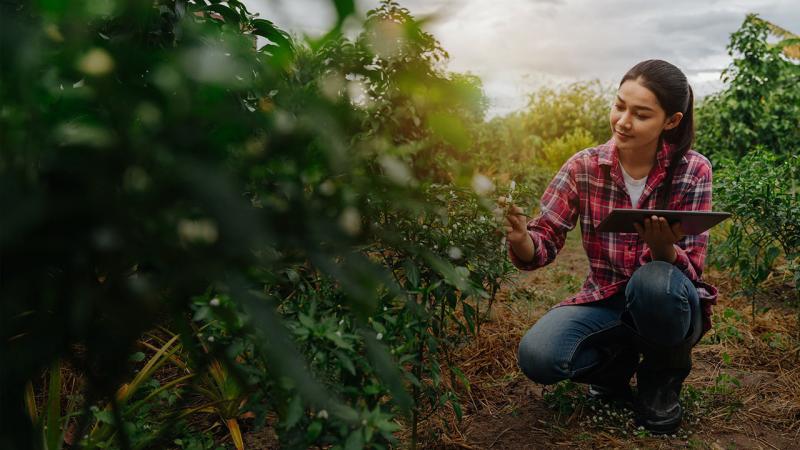 Sanjay Kannan on LinkedIn: AI in Agriculture: Making Carbon Banking ... Sanjay Kannan on LinkedIn: AI in Agriculture: Making Carbon Banking ...