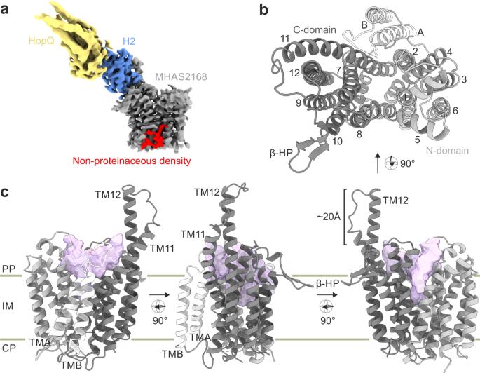 Linkster Therapeutics on LinkedIn: Structural basis for ... Linkster Therapeutics on LinkedIn: Structural basis for ...